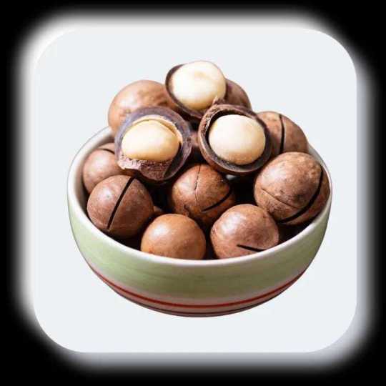 Organic Dry Fruits & Healthy Nuts in Pakistan | Leyjao